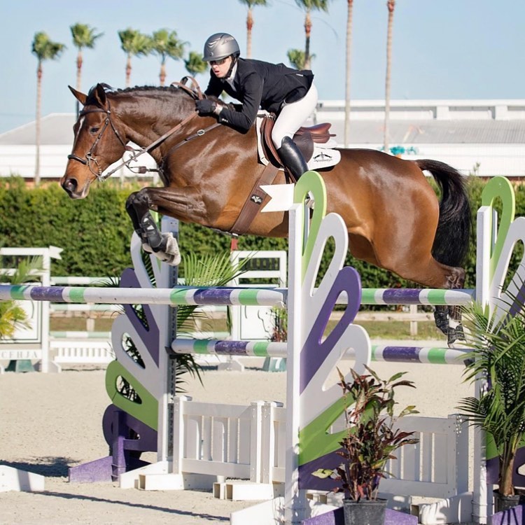 Irish Horses - Stable Express