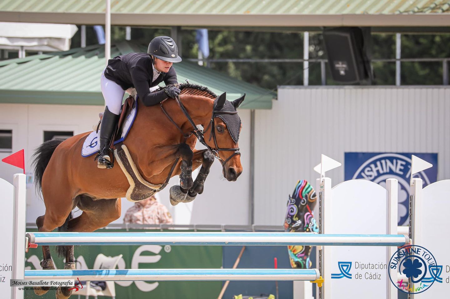 Milton - Stable Express