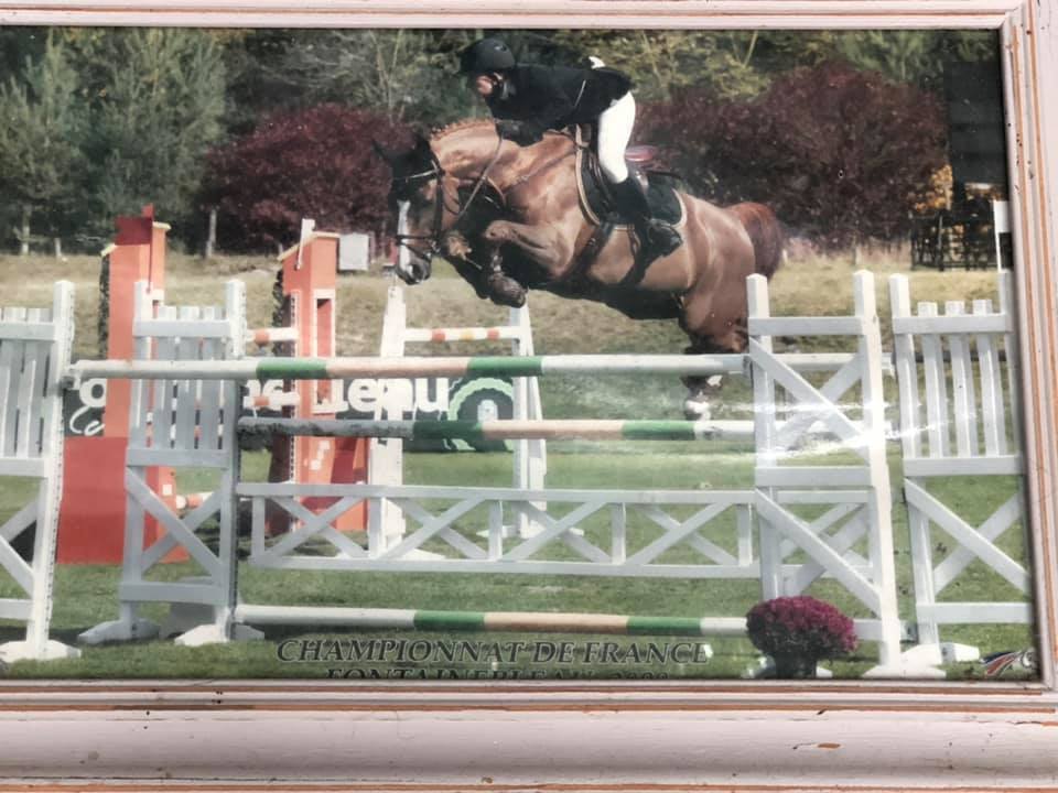 Jessica Mendoza - Stable Express