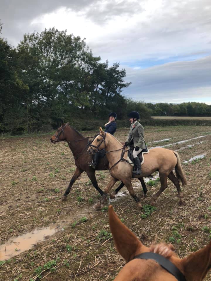 Jessica Mendoza - Stable Express