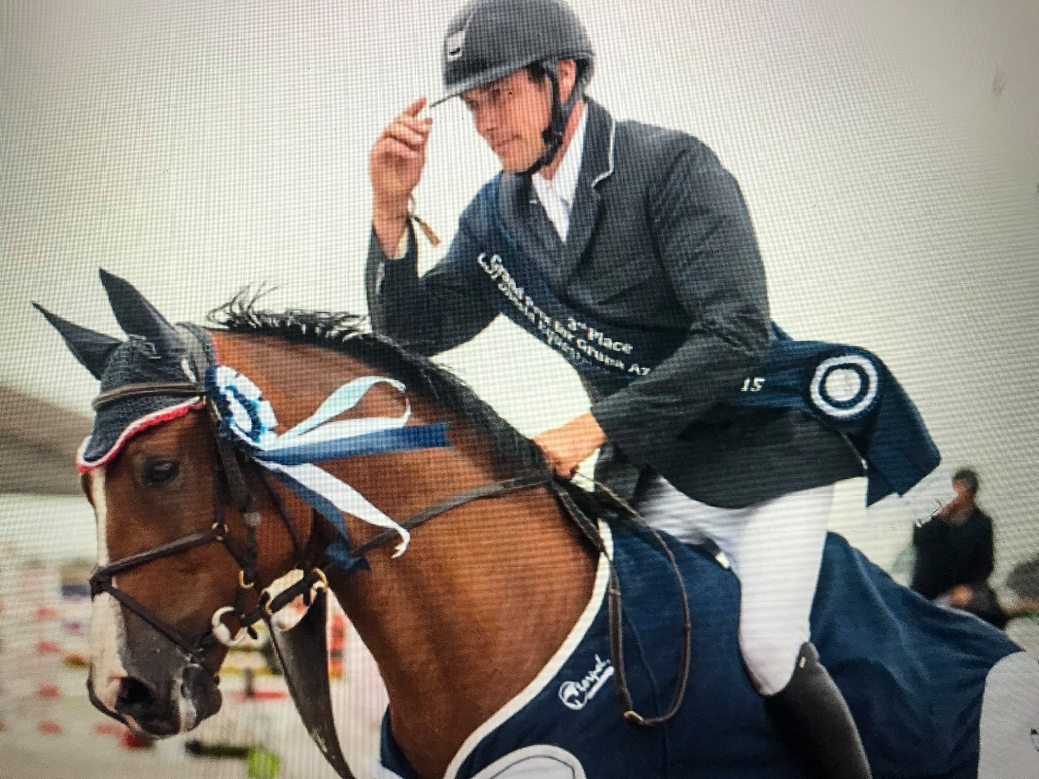 Russian Heavy Draft Horse Stallion - Maidan - Stableexpress