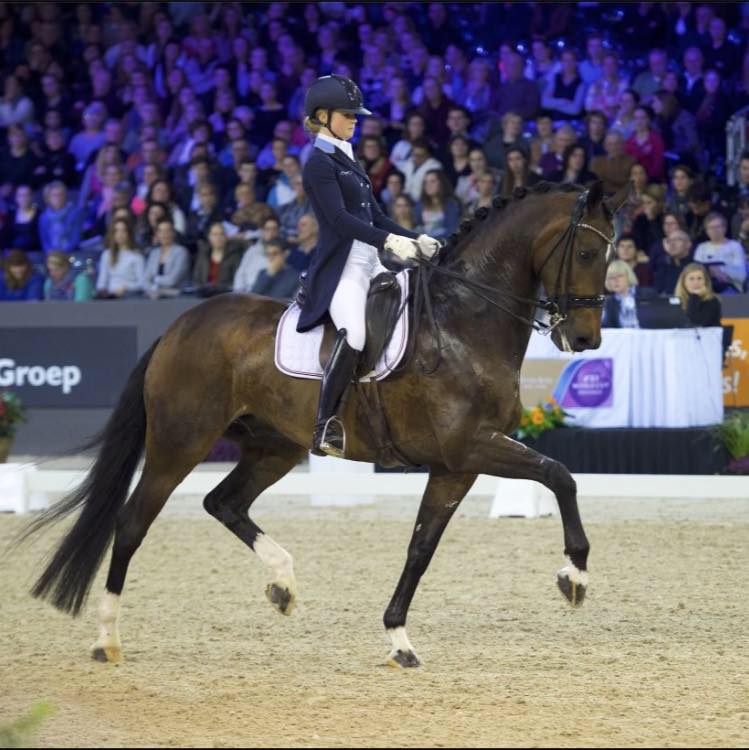 Juliette Ramel - Stable Express