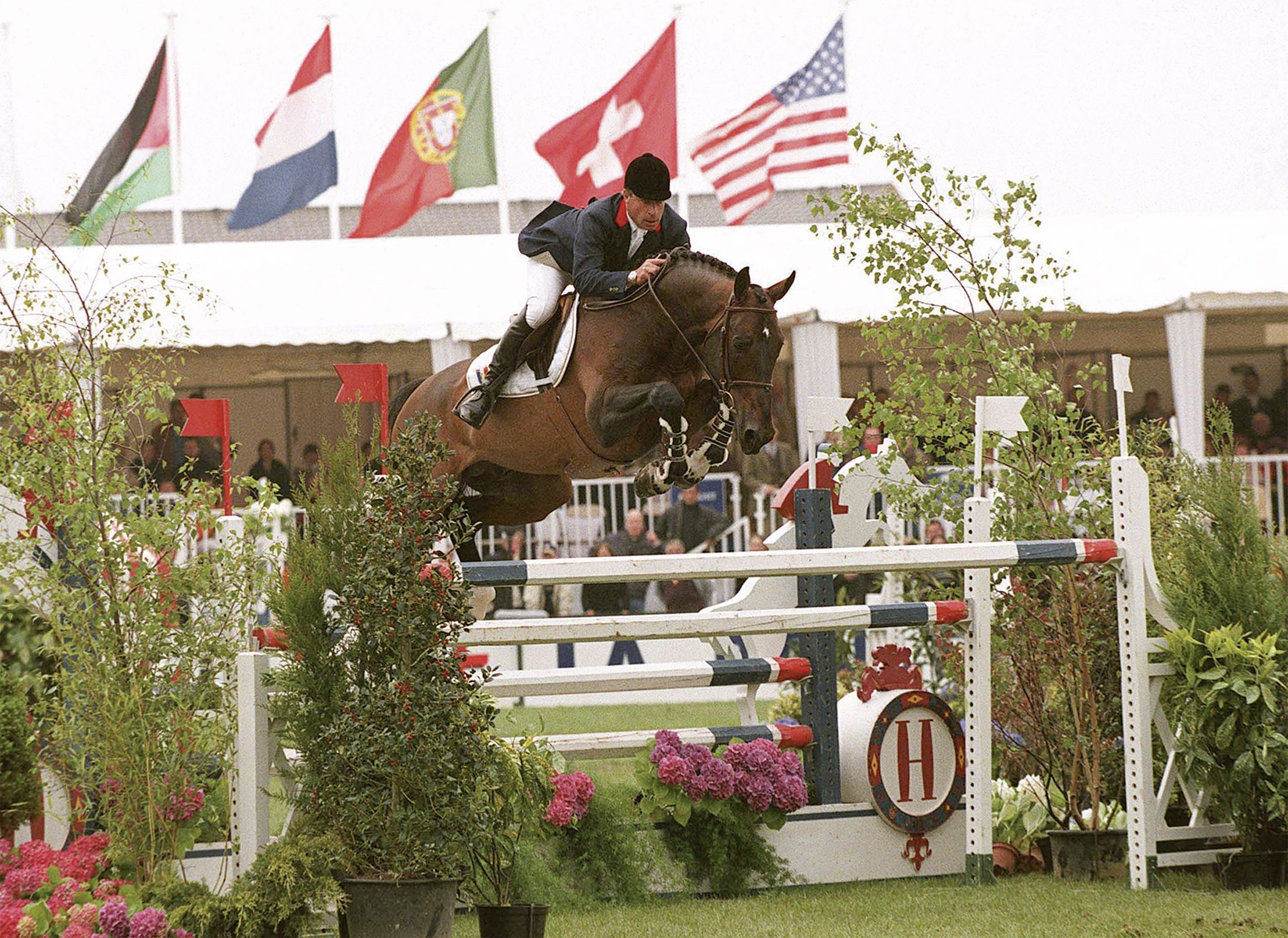 Coloured Stallions - Stableexpress