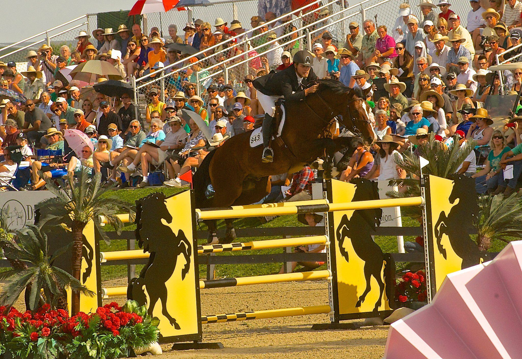 Horse Cake - Stableexpress