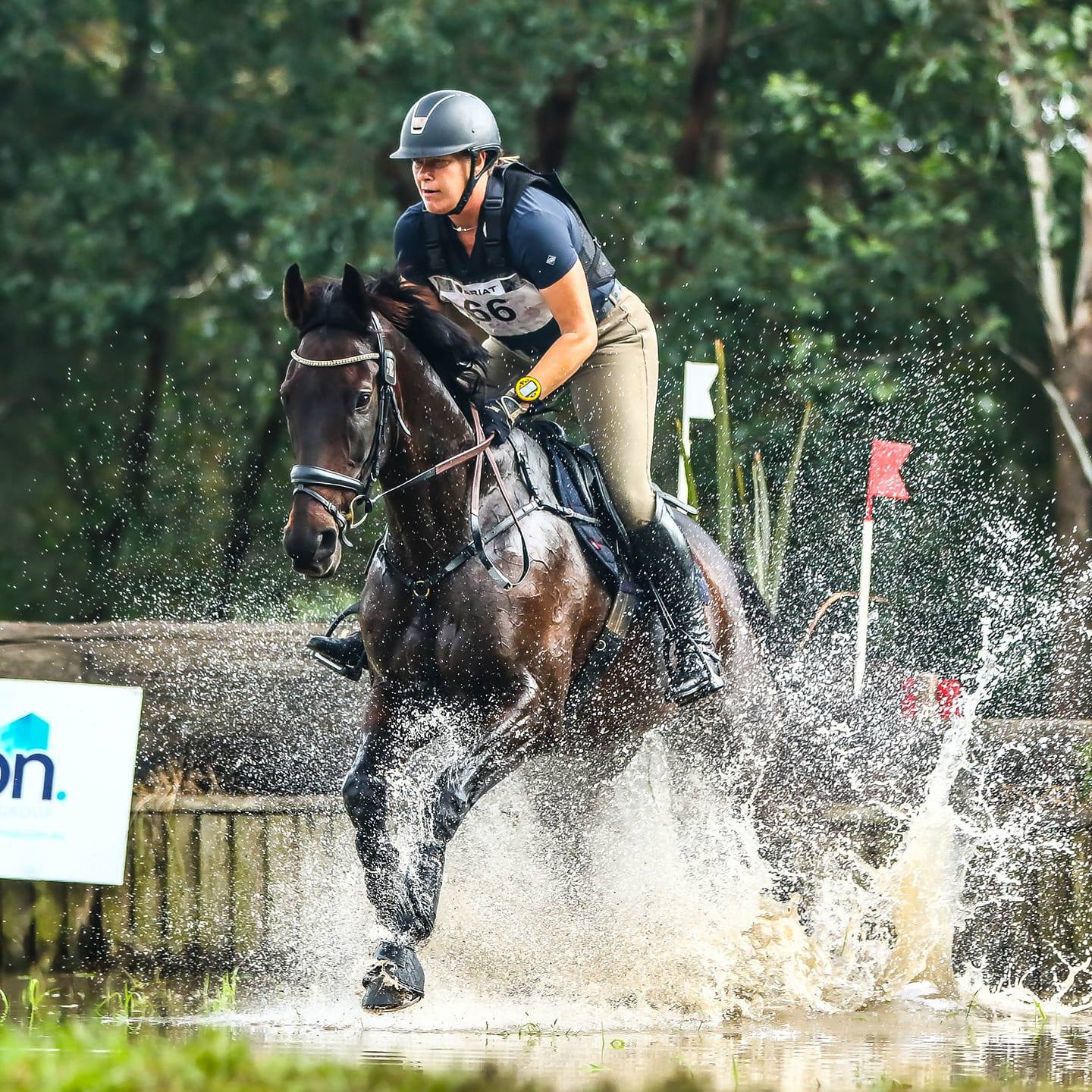 Lara Griffith - Stable Express