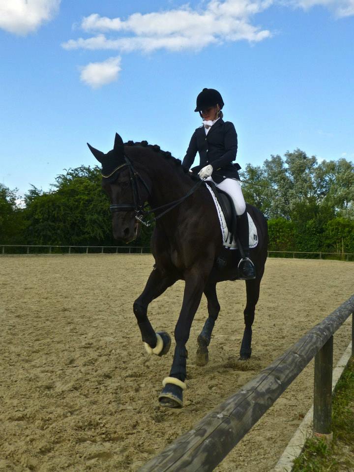 Lena Von Bechtolsheim - Stable Express