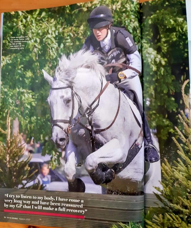 Shire Horse Stallion - Upper Delves James - Stable Express