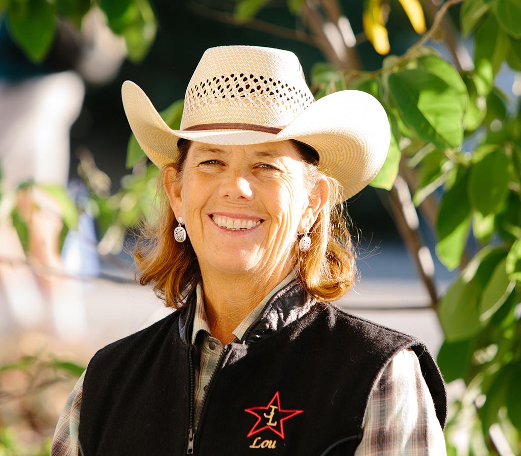 Index - Stable Express