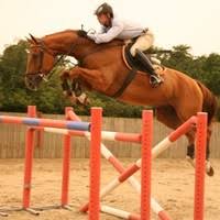 Franke Sloothaak - Stableexpress