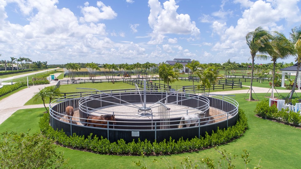 Horse Walkers - Stable Express