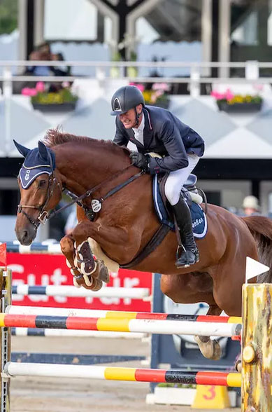 Horse Prints - Stable Express