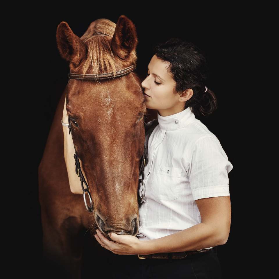 Coloured Stallions - Stableexpress