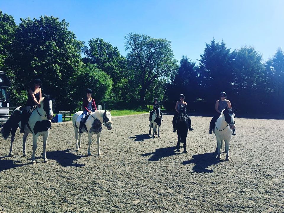 Horse Riding Lessons - Stable Express