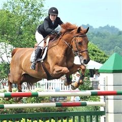 Ellie Stoneham - Stable Express