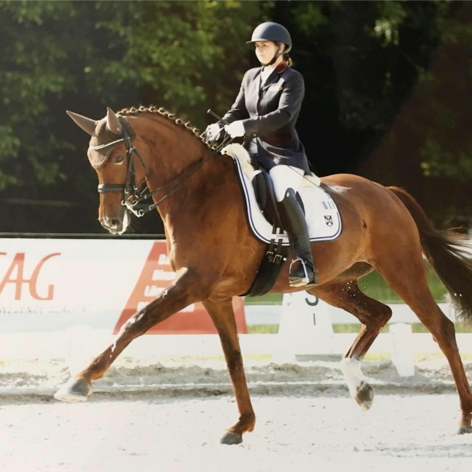 Horse Breeding Equipment - What Will You Need - Stable Express