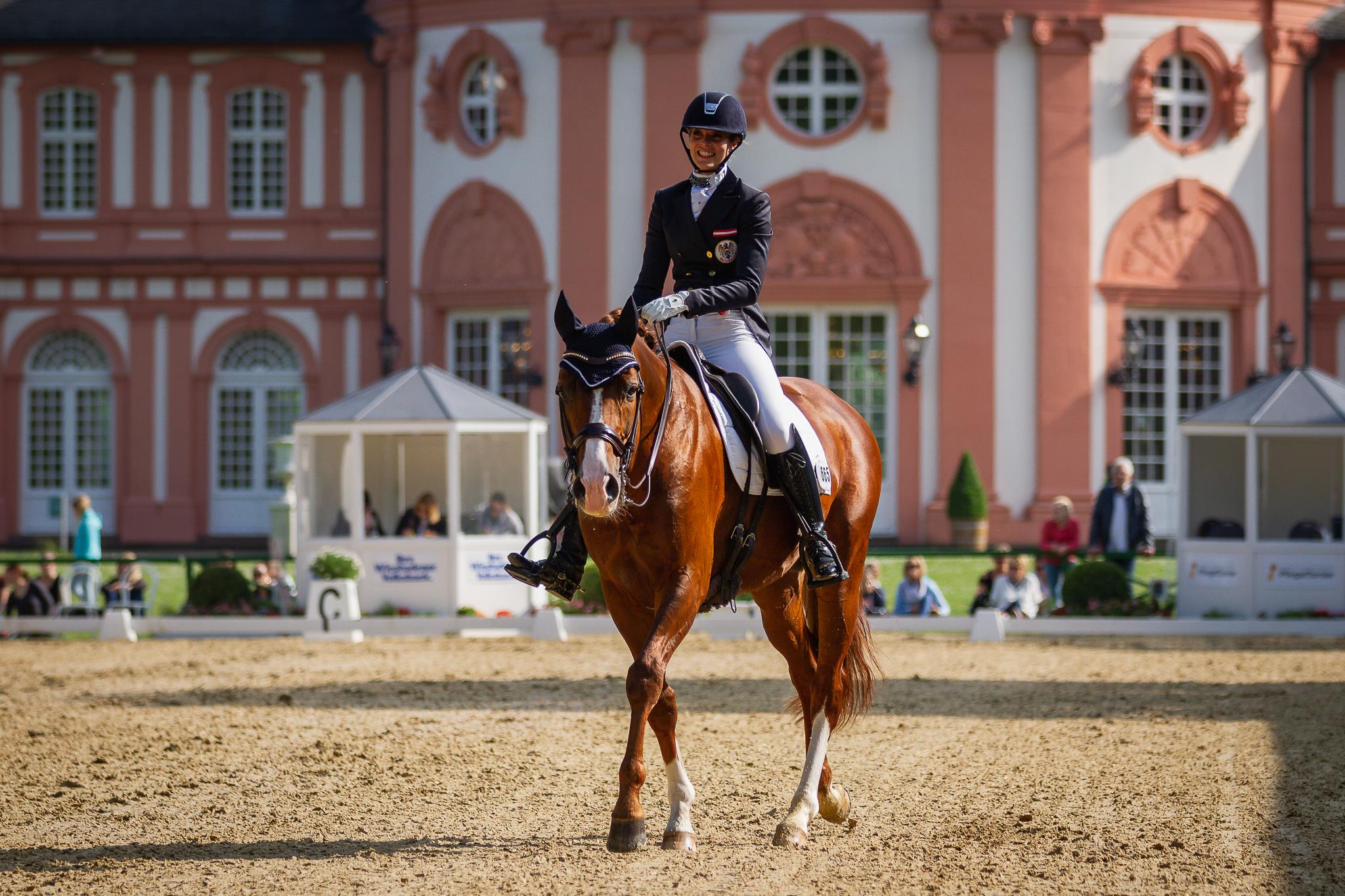 Zangersheide Stud - Stable Express