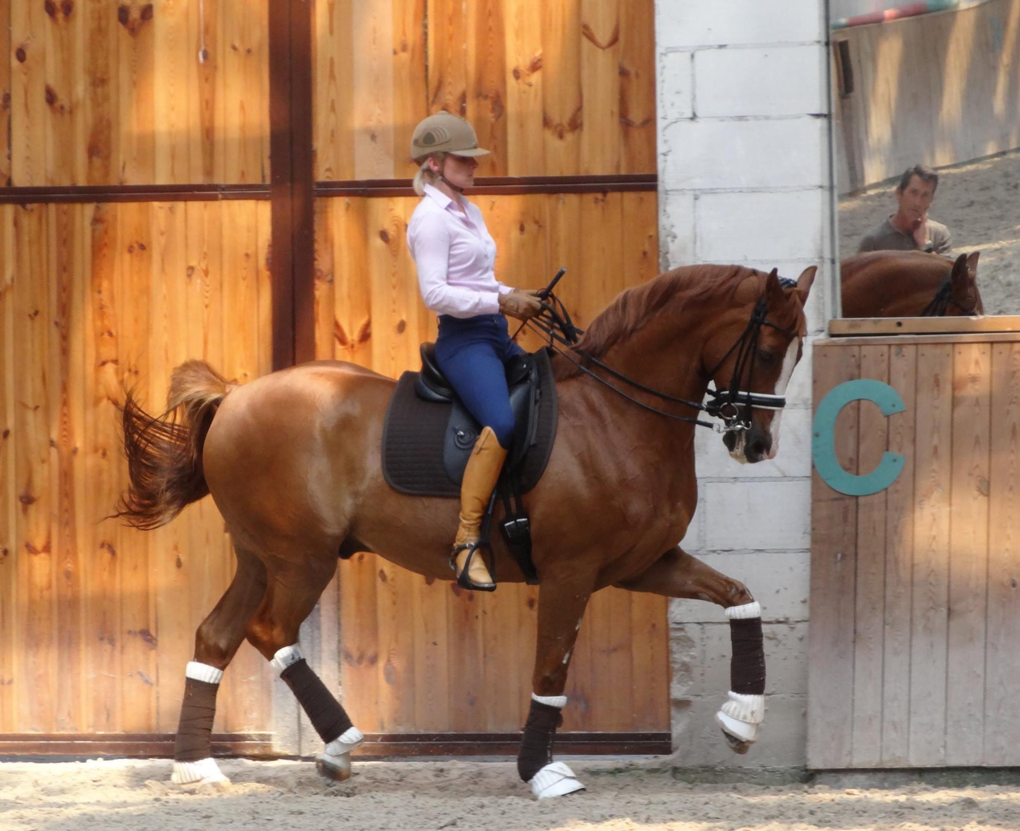 Hunks and Horses - Stable Express