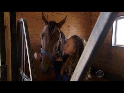 Ramiro Z - Stable Express