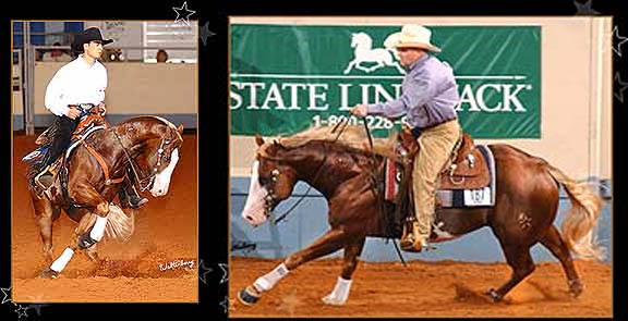 Reining Horses - Stable Express