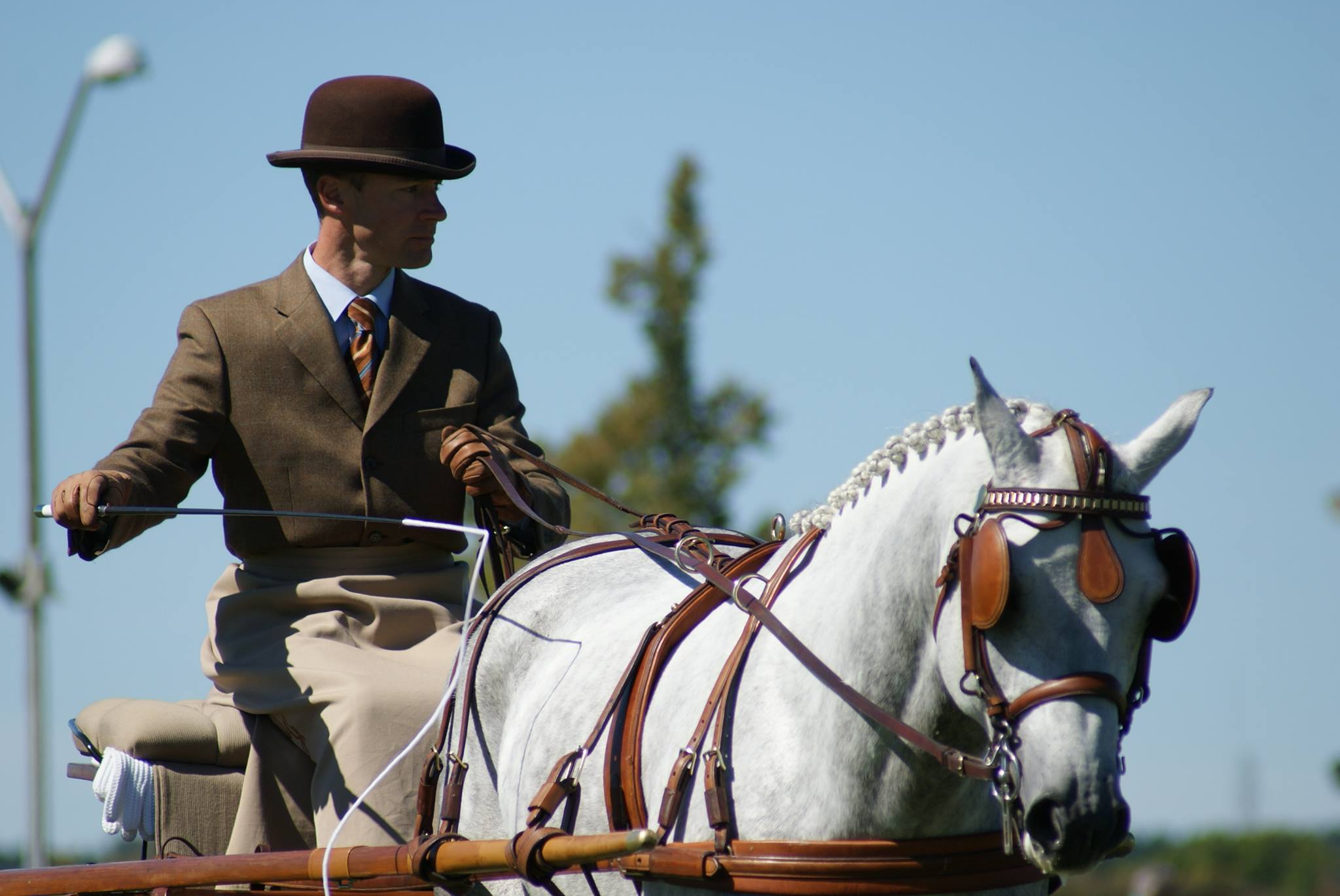 Big Jake - Red Roan Spotted Draft Horse - Stableexpress