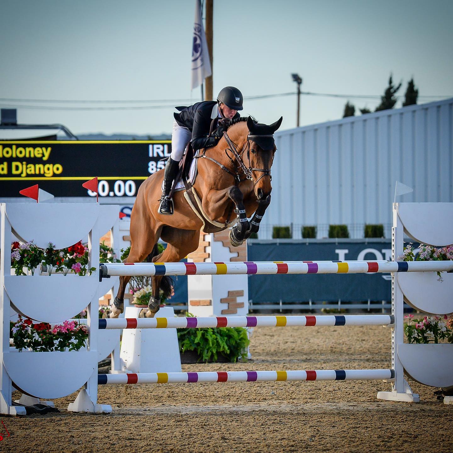 Stud Farms - Stable Express