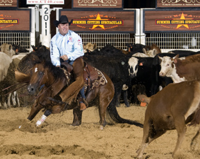 Ramiro Z - Stable Express