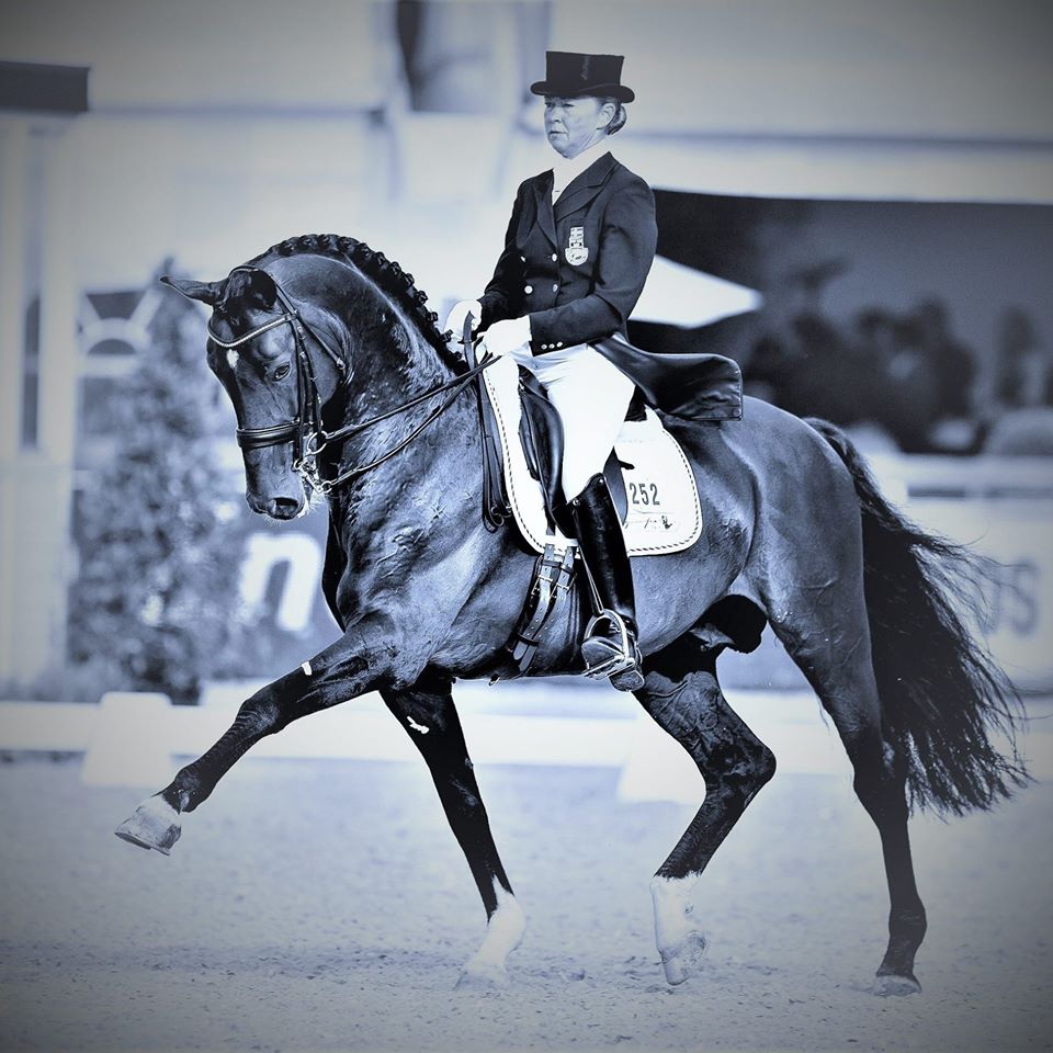 Rose Mathisen - Stable Express