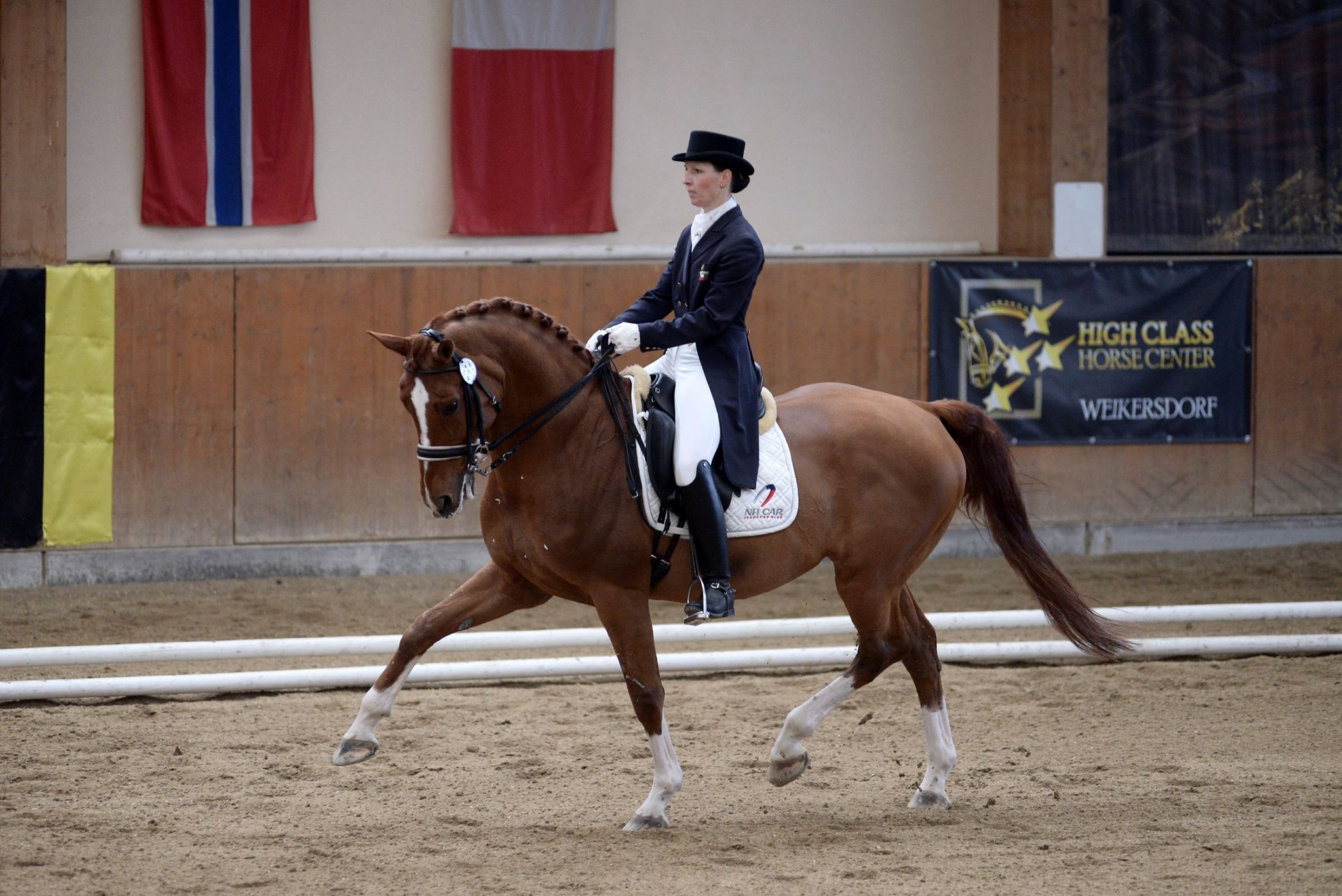 Oakley Horseboxes - Stable Express