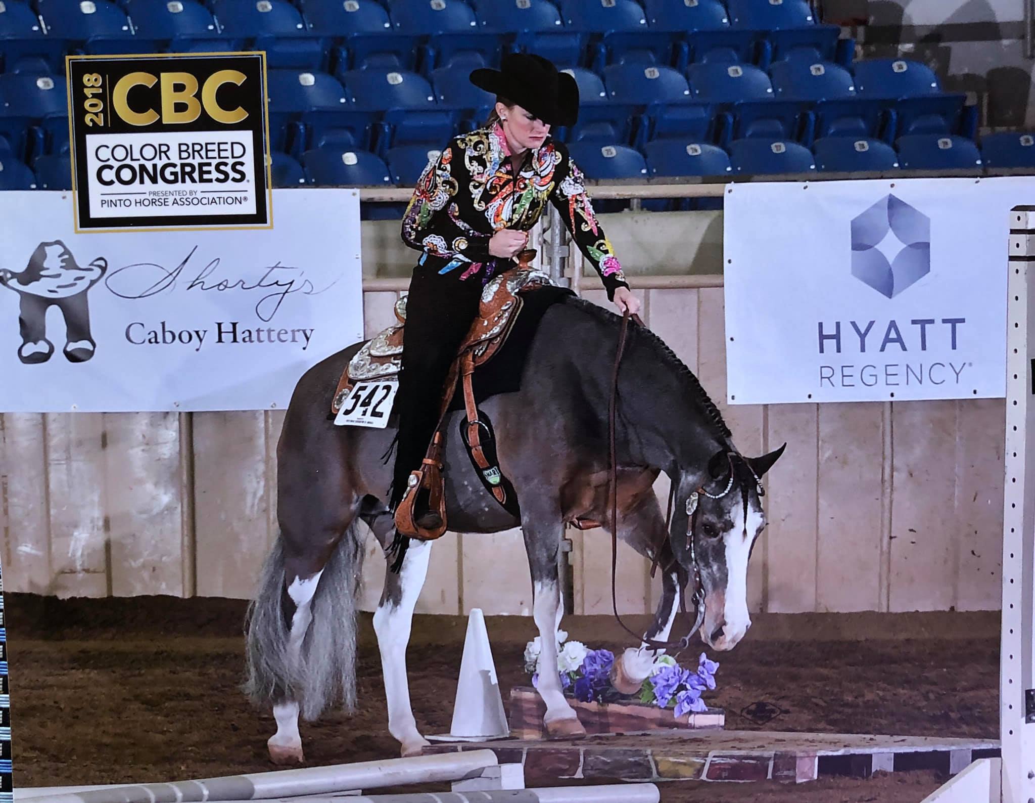 Mistreated Horse Becomes A Champion - Inspirational Story - Stable Express