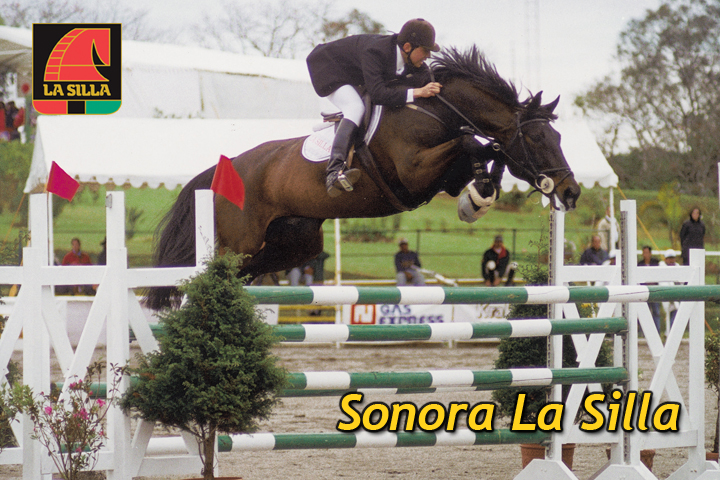 Jan Tops - Stable Express