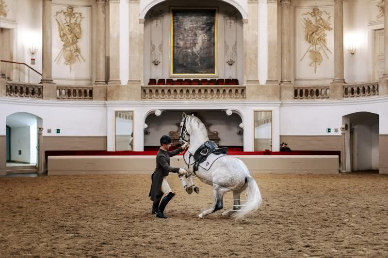 The Spanish Riding School of Vienna - Stable Express