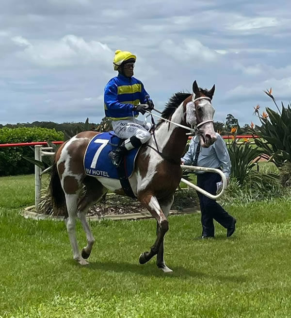 Splash of Paint (Profile In Style x Akhadan) - Horse Racing - Stable ...