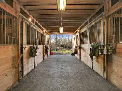 Horse Bedding - Stableexpress