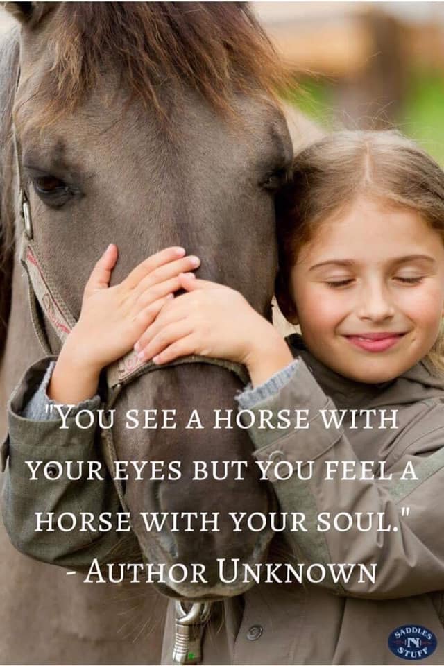 Steven Whitaker - Stable Express