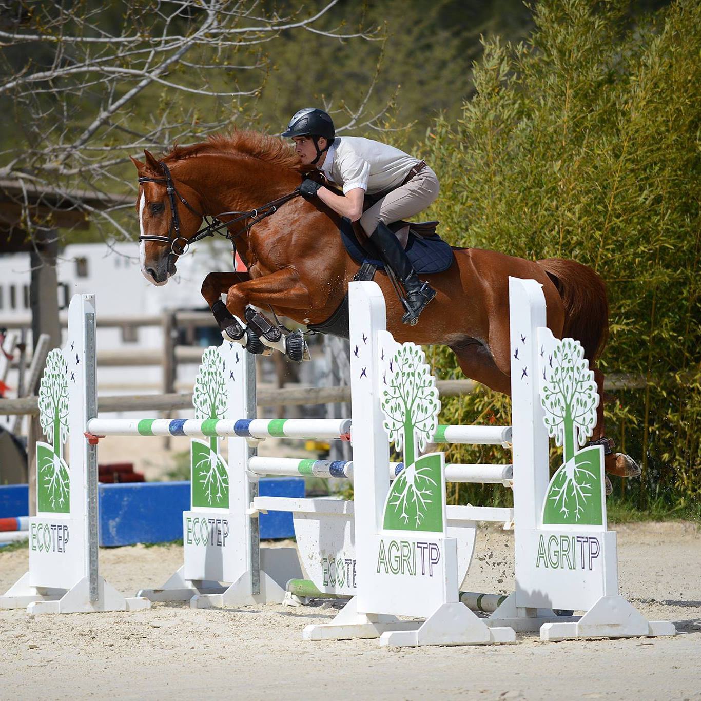 Steven Whitaker - Stable Express