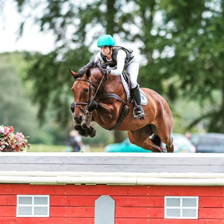 American Presidents and Their Horses - Stable Express