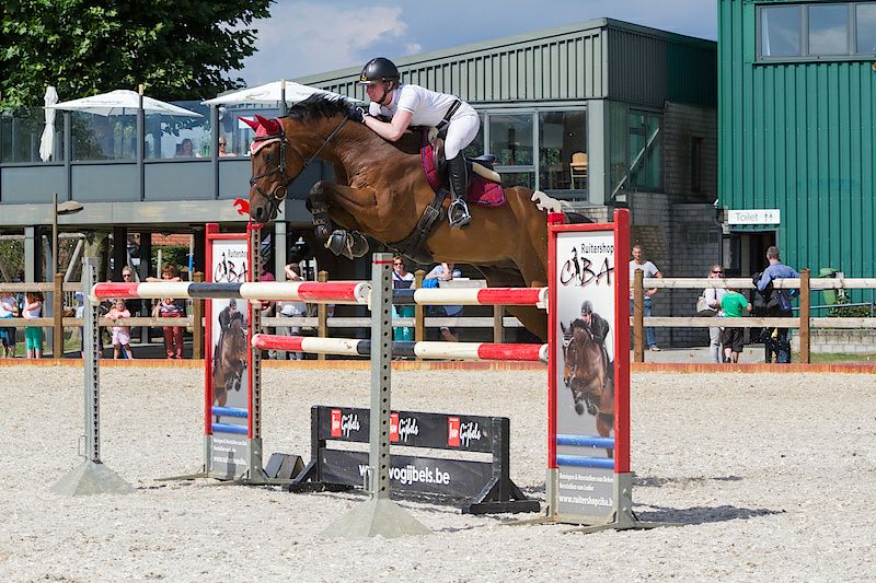 Nicky Boulter - Stable Express