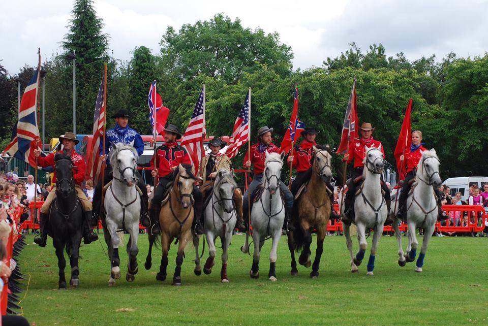 Saddles - Stableexpress