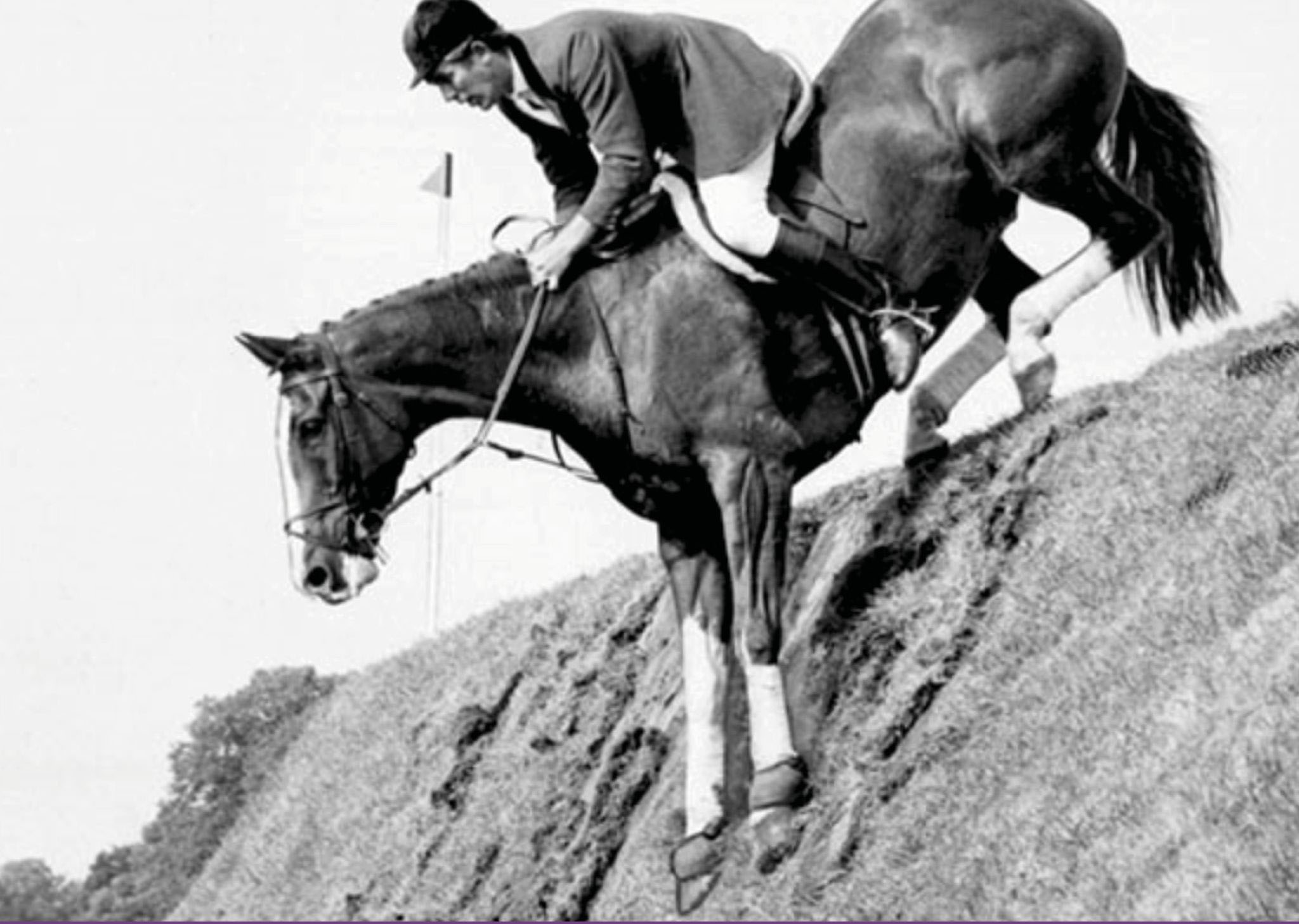 The Hickstead Derby - Stable Express