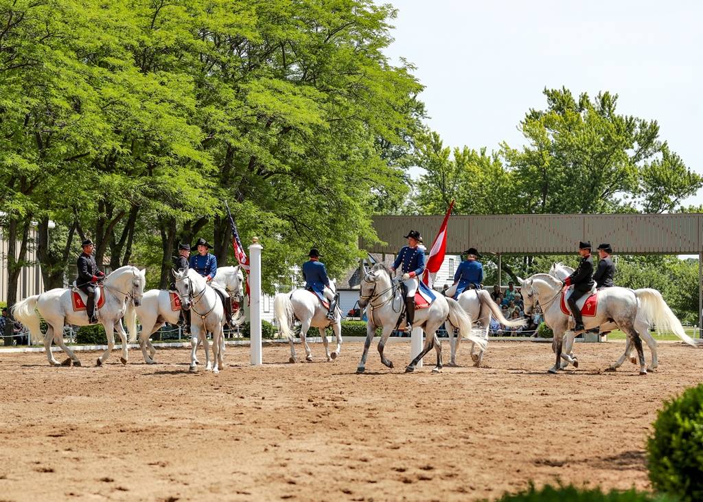 The Tempel Lipizzans, Illinois USA - Stable Express