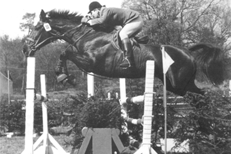 Showjumping Stallions - Stableexpress