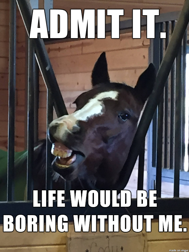 Lujain Al Essa - Stable Express