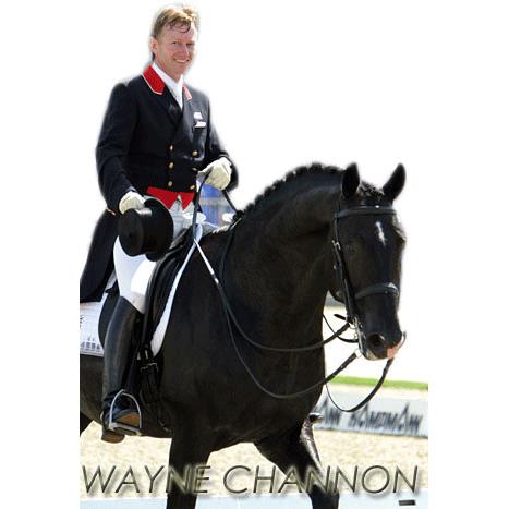 Budweiser Clydesdales Perform - We Will Rock You - Stable Express