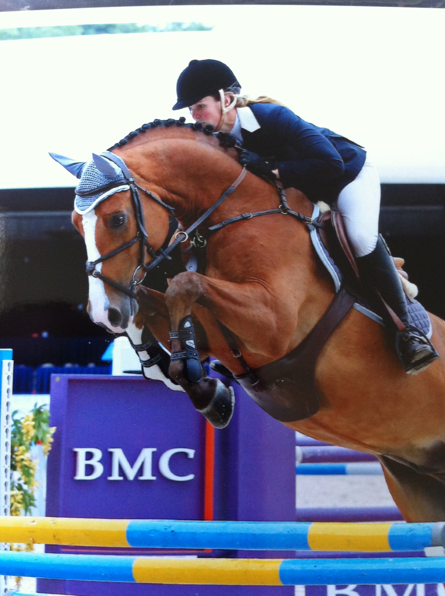 Interesting Facts About Trigger, The Famous Horse Of Roy Rogers ...