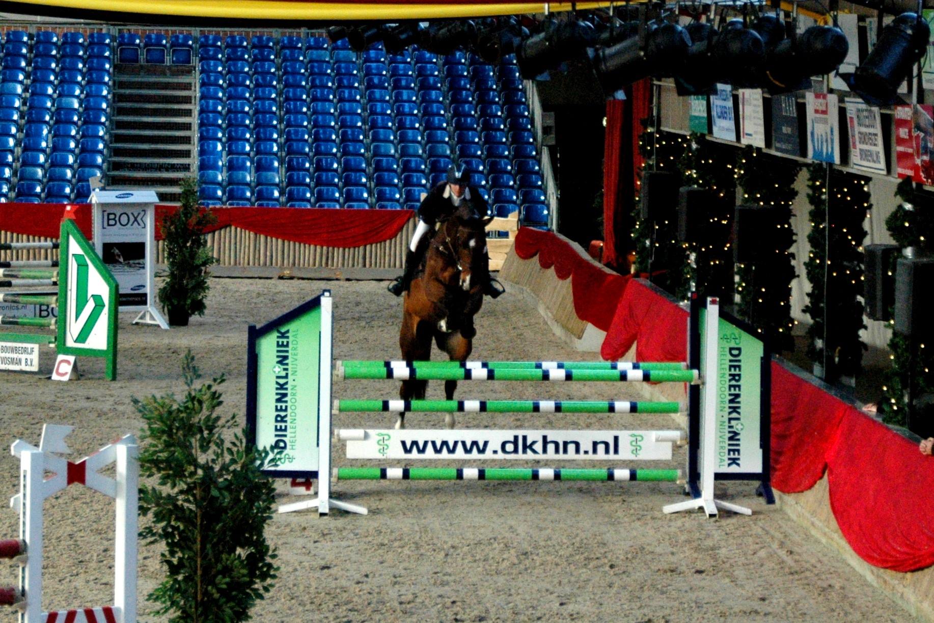 Equine Photography by Ekaterina Druz. Artistic Horse Pictures - Stable ...