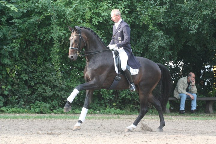 Frederic Pignon Shows Off The Majesty Of His Three Friesian Horses ...