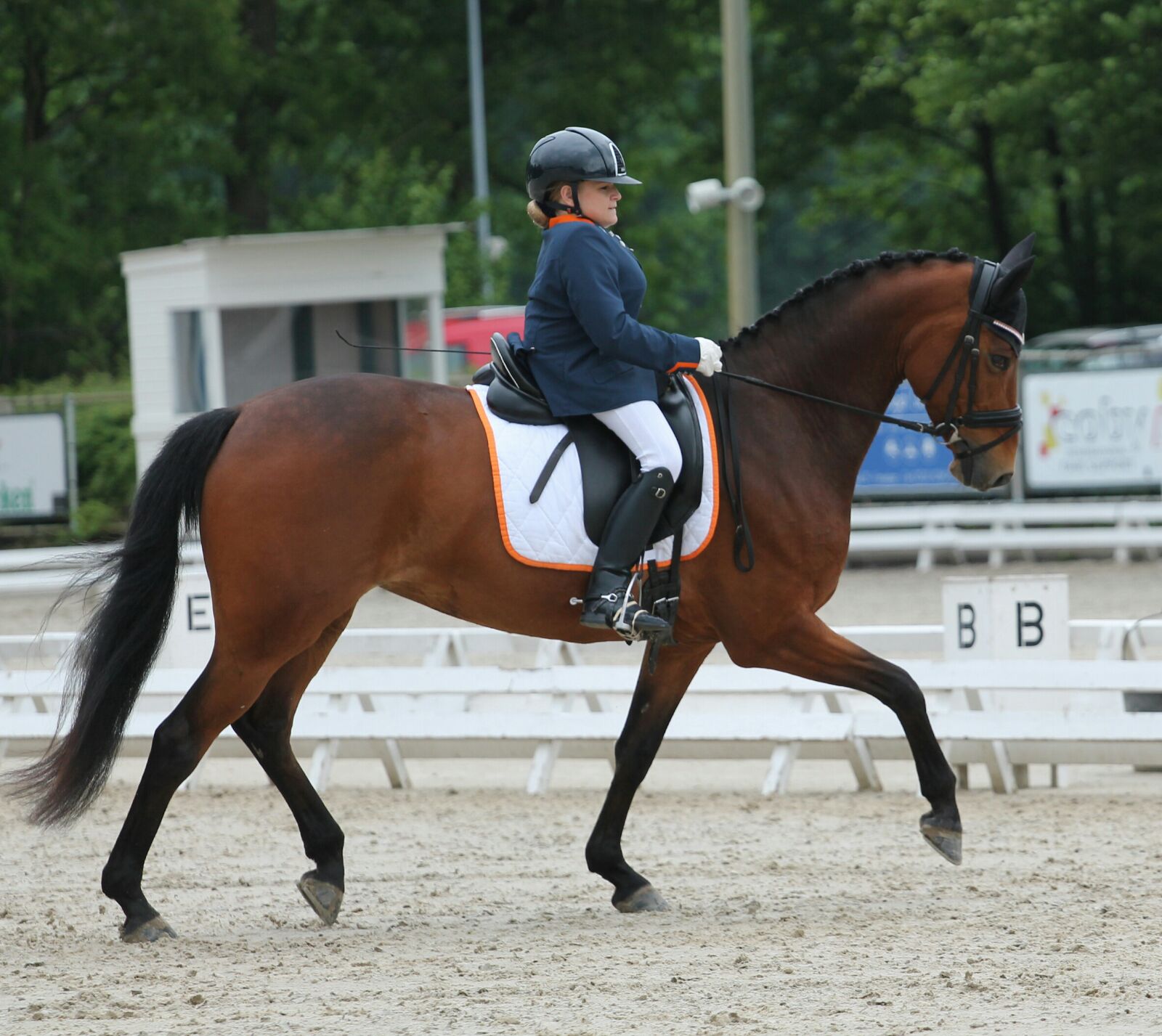 Alex Gerding - Stable Express