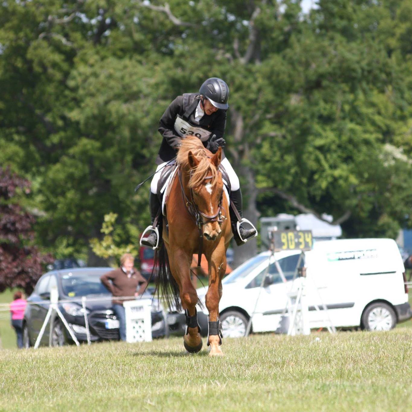 Friesian/Appaloosa Crossbreed Horses - A Unique Combination - Stable ...