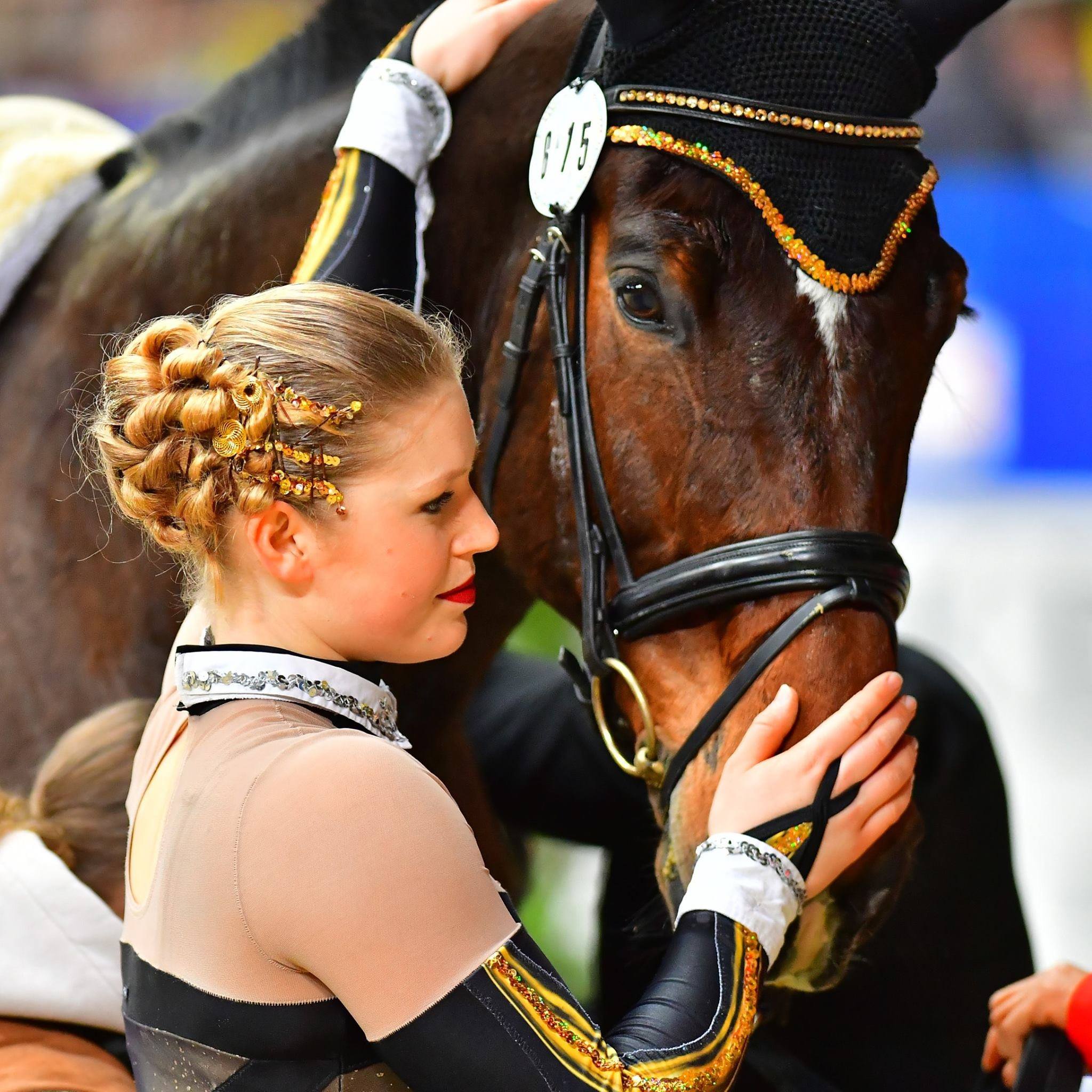 Oakley Horseboxes - Stable Express